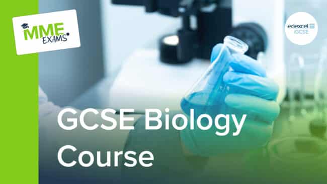 Online GCSE Courses | MME Exams