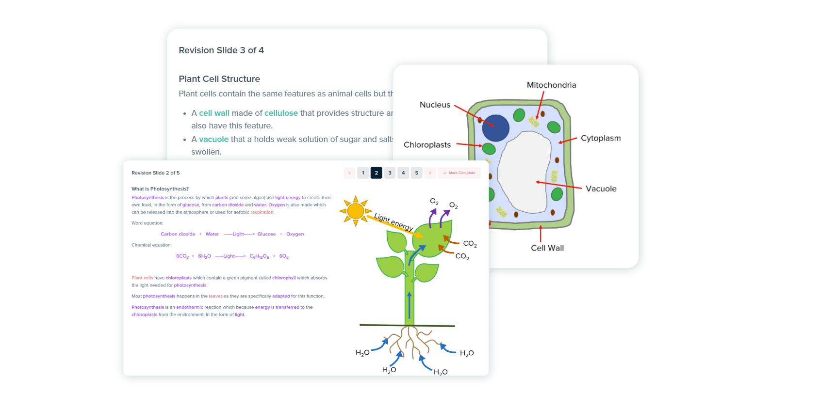 GCSE Science Exam | MME Exams
