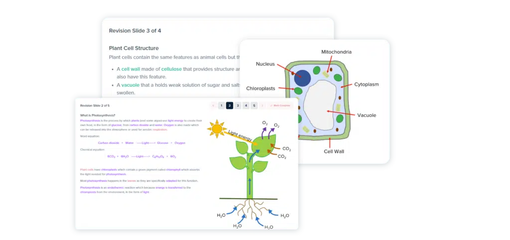 GCSE Science Course | MME Exams